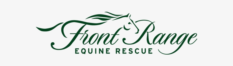 Front Range Equine Rescue Homepage - Front Range Equine Rescue PNG ...
