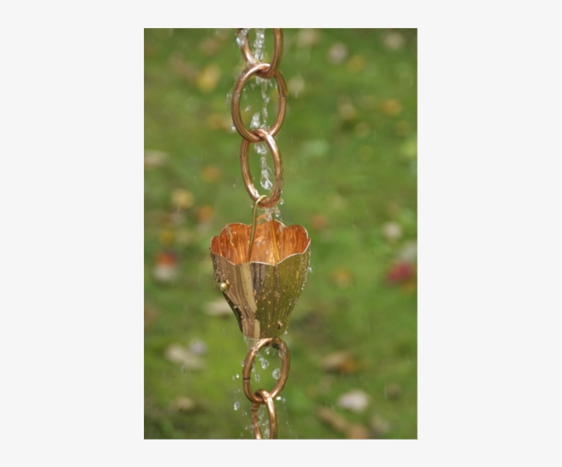 Download 6 Cup Crocus Rain Chain - Rain Chain | Transparent PNG ...