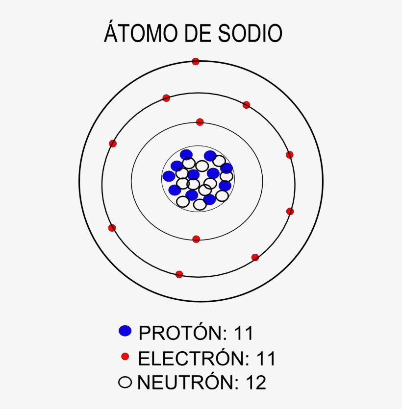Download Protones Y Neutrones De Un Átomo - Atomic Structure Of Curium ...