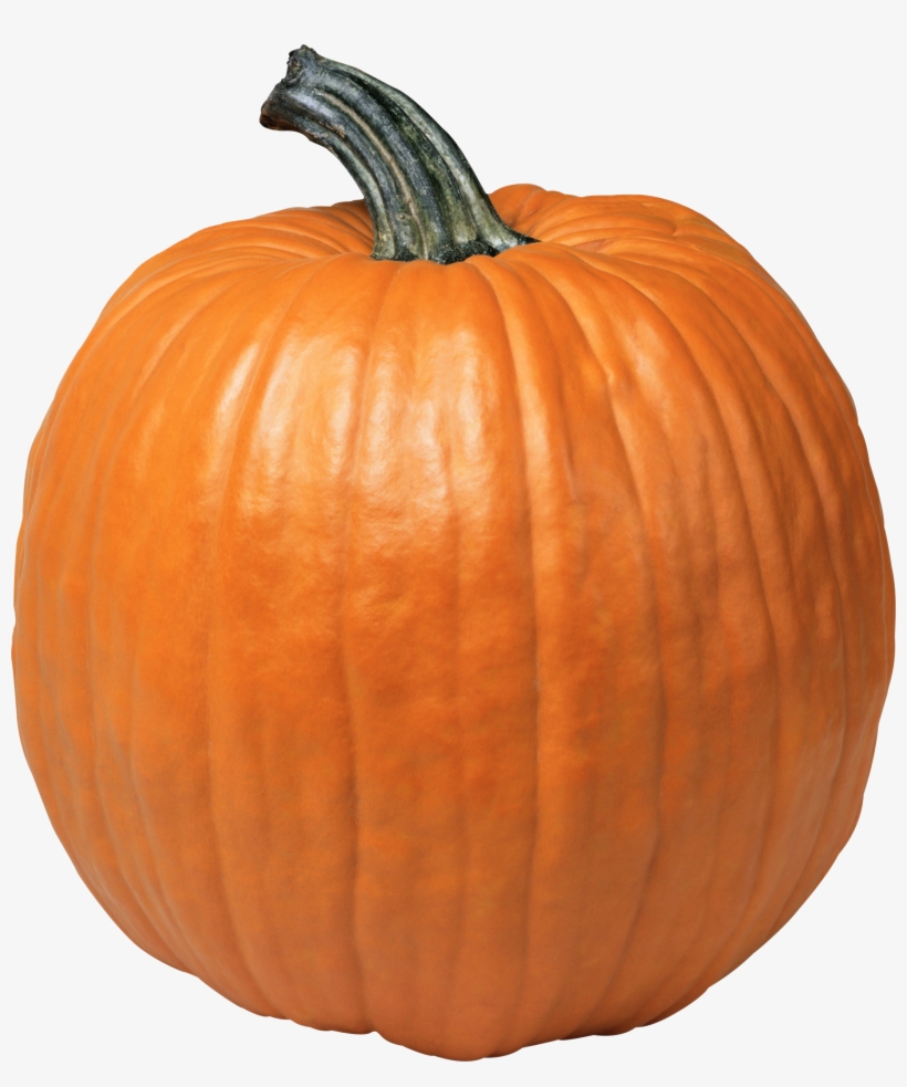 Clip Art Images - Pumpkin Png PNG Image | Transparent PNG Free Download ...