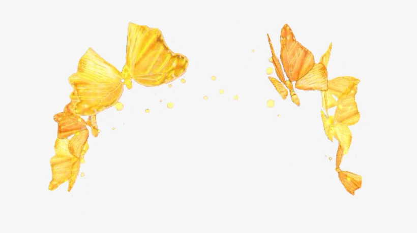 Afbeeldingsresultaat Voor Filters Edits - Snapchat Filter Png PNG Image ...