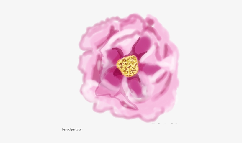 Pink Pensy Flower Watercolor Clip Art - Watercolor Painting PNG Image ...