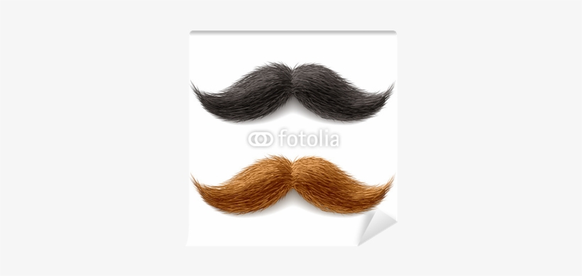 Png Fake Mustaches Wall Mural • Pixers® • We Live To - Moustache PNG ...
