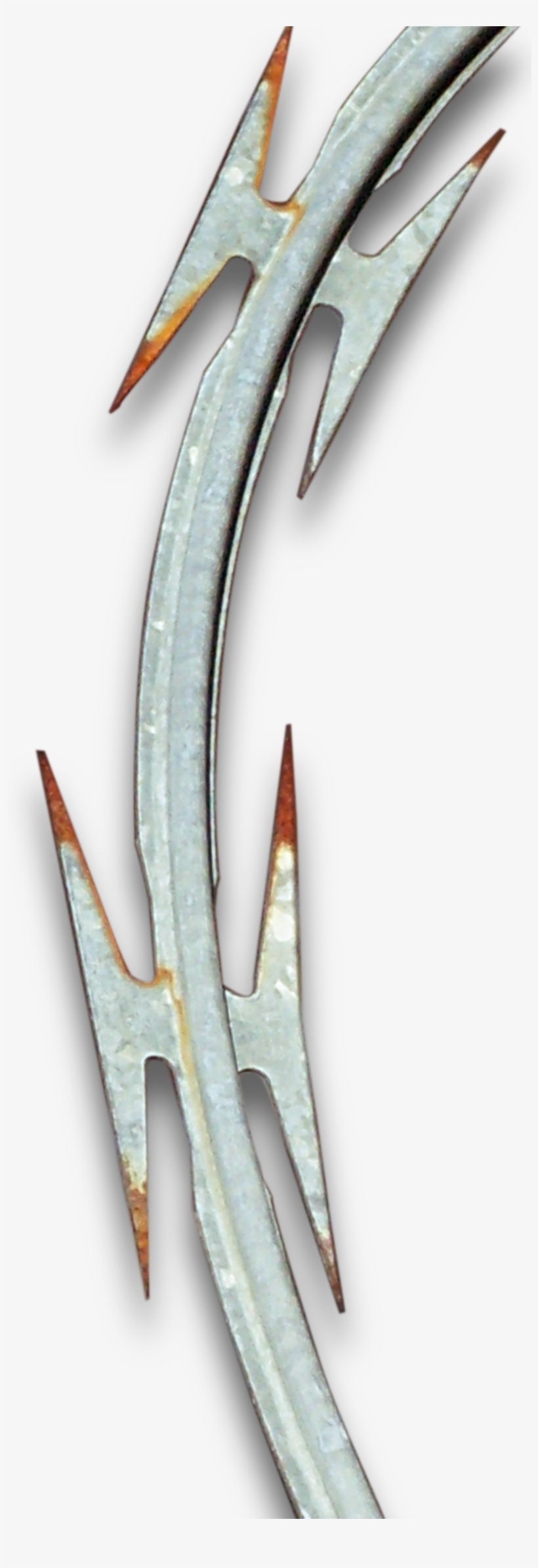 Razor Wire - Barbed Wire PNG Image | Transparent PNG Free Download on ...