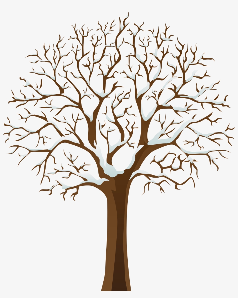 Snowy Winter Tree Transparent Png Image PNG Image | Transparent PNG ...