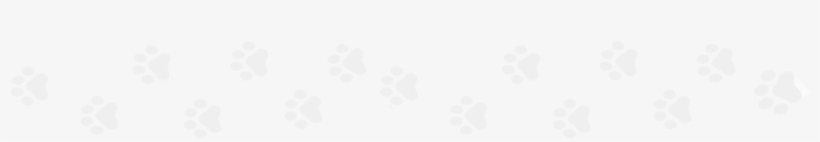 Download Wolf Paw Print Png - White Paw Prints Png | Transparent PNG ...