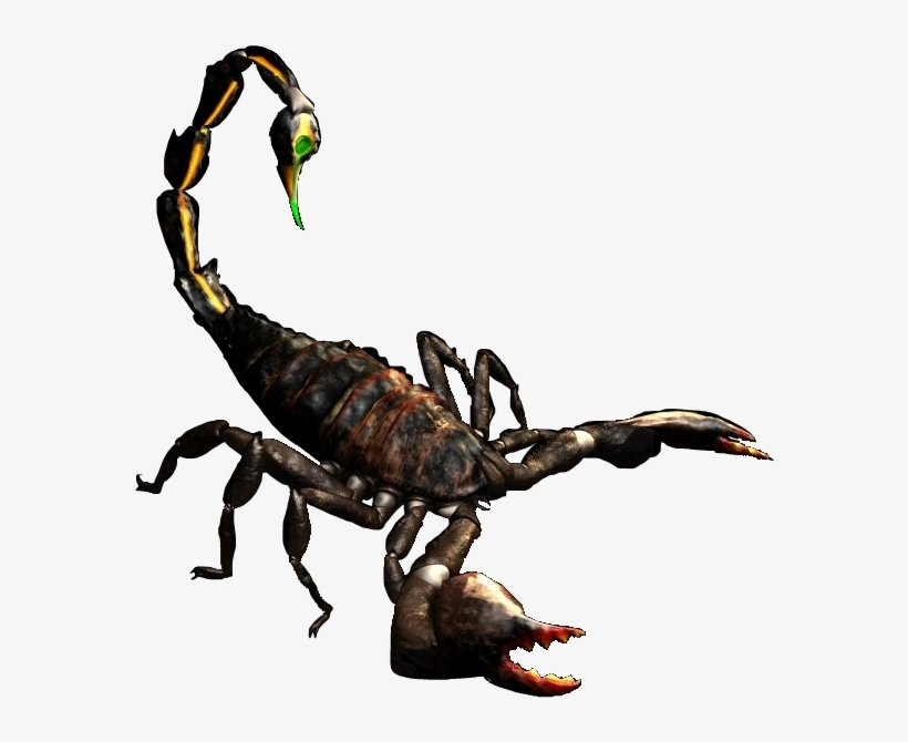 Png Transparent Library Radscorpion Concept Giant Bomb - Fallout ...