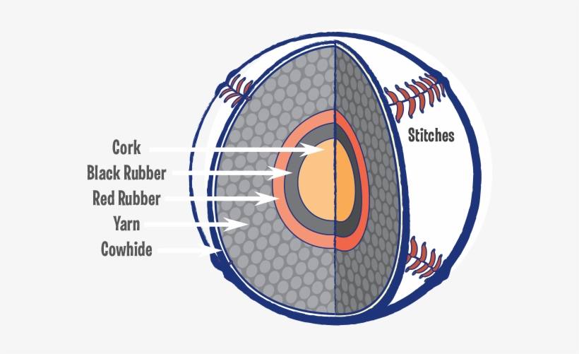 Parts Of A Baseball - Unknown PNG Image | Transparent PNG Free Download ...