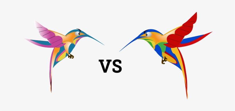 Google Hummingbird Free Image Thoughtshift - Google Hummingbird PNG ...