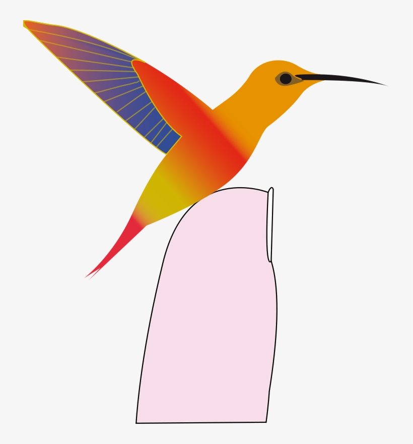 Cafepress Colorful Hummingbird Queen Duvet PNG Image | Transparent PNG ...