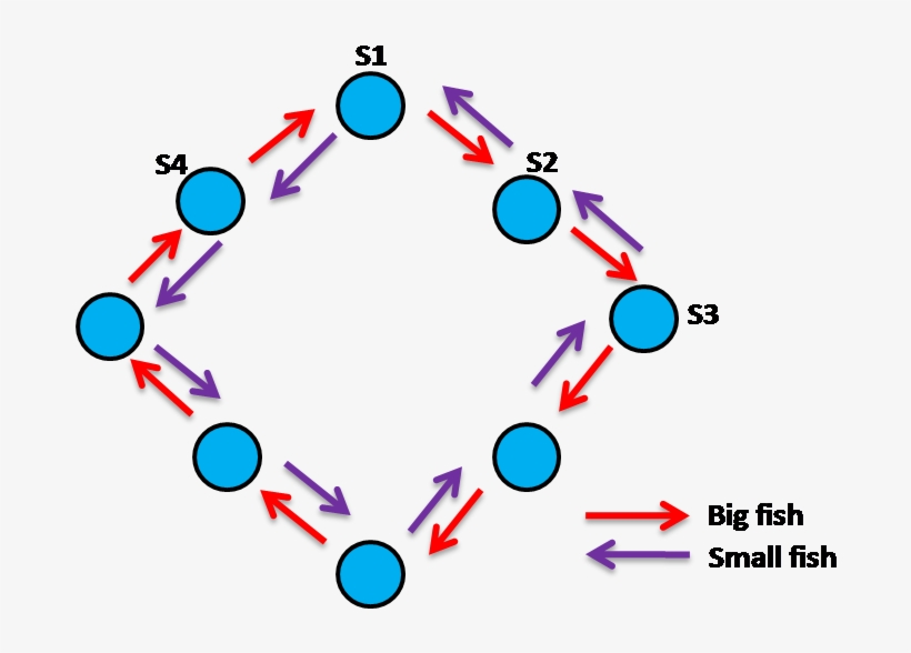 Big Fish, Small Fish - Circle PNG Image | Transparent PNG Free Download ...