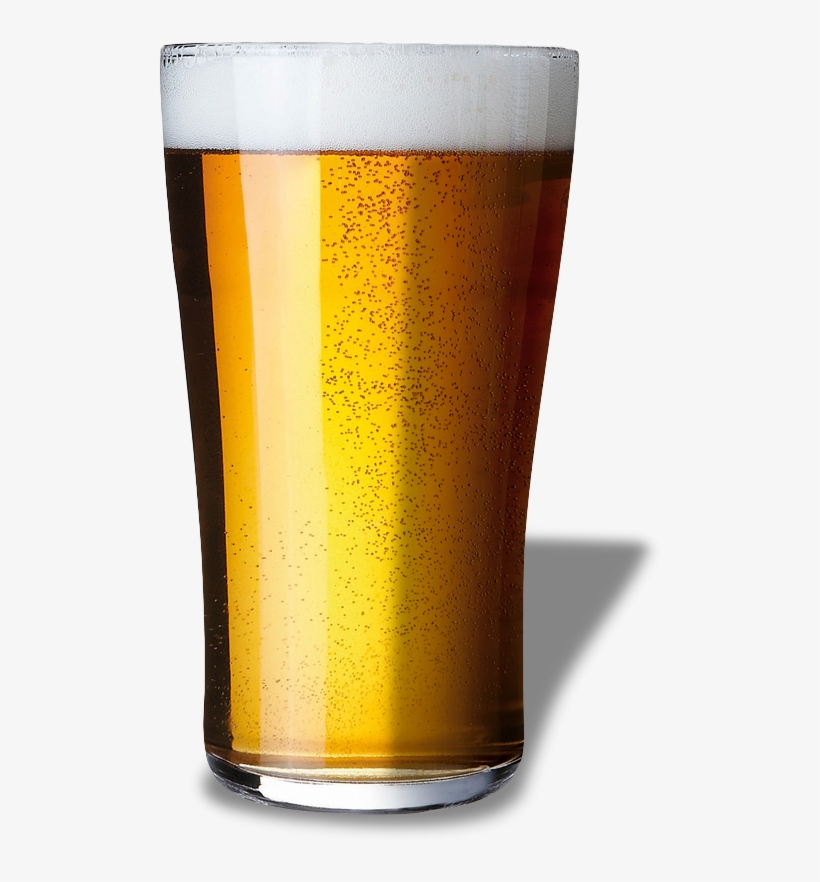 Download - Beer - Beer | Transparent PNG Download | SeekPNG