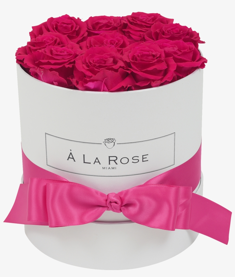 Orb Original Hot Pink Roses PNG Image | Transparent PNG Free Download ...