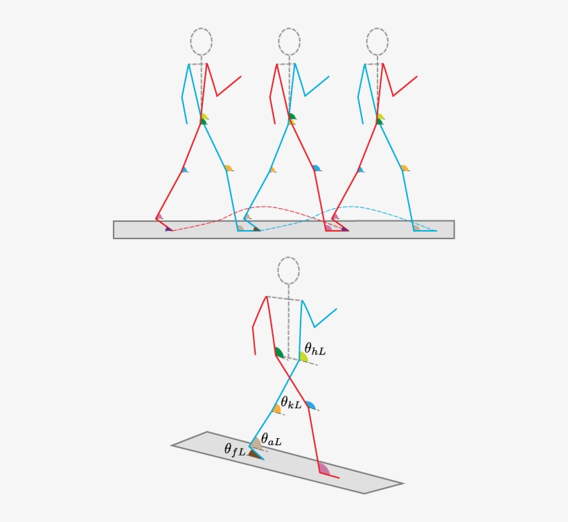 Illustration Of Human Walking, Which Shows Joint Angles - Diagram PNG ...