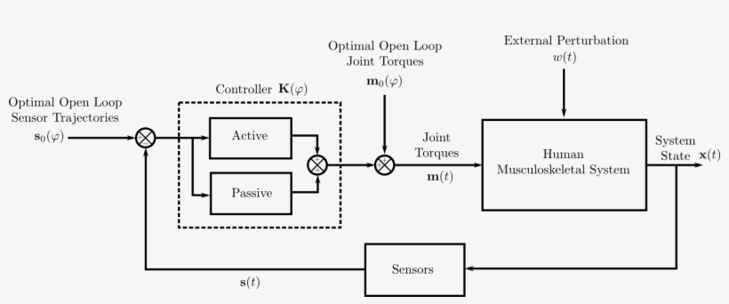 Papers - Human Being Control System PNG Image | Transparent PNG Free ...