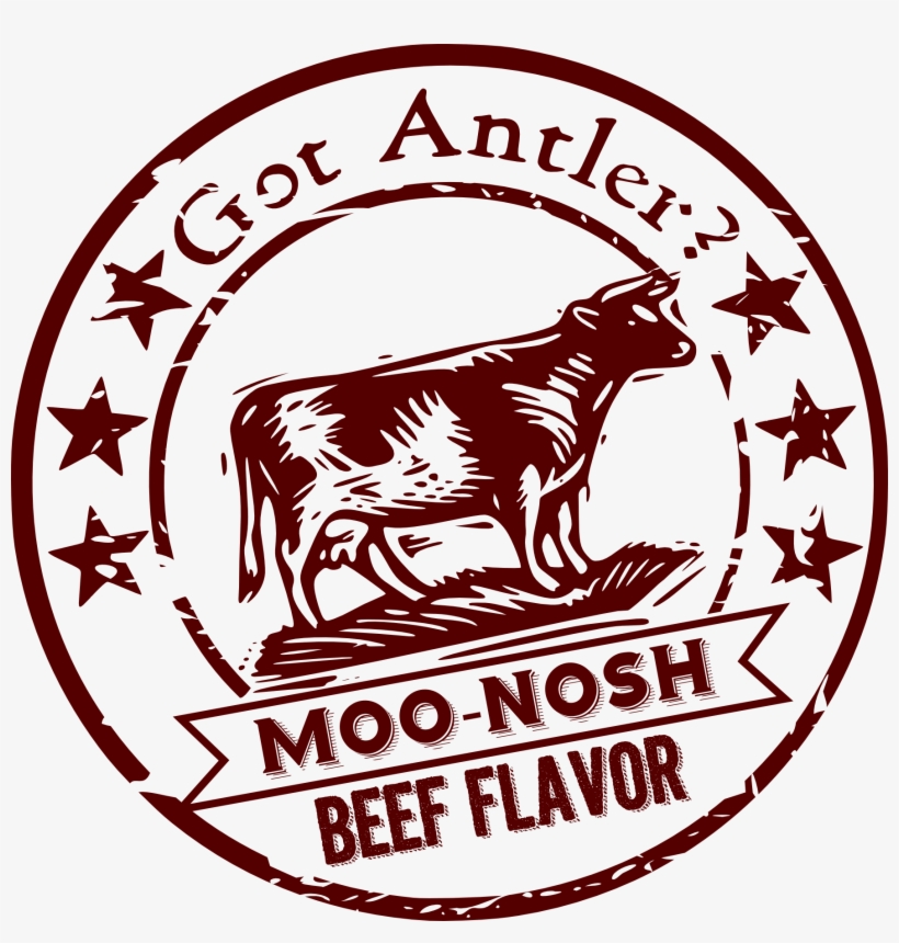 Moo-nosh Moose Antler A Great Way To Try A Moose Antler - Moose PNG ...