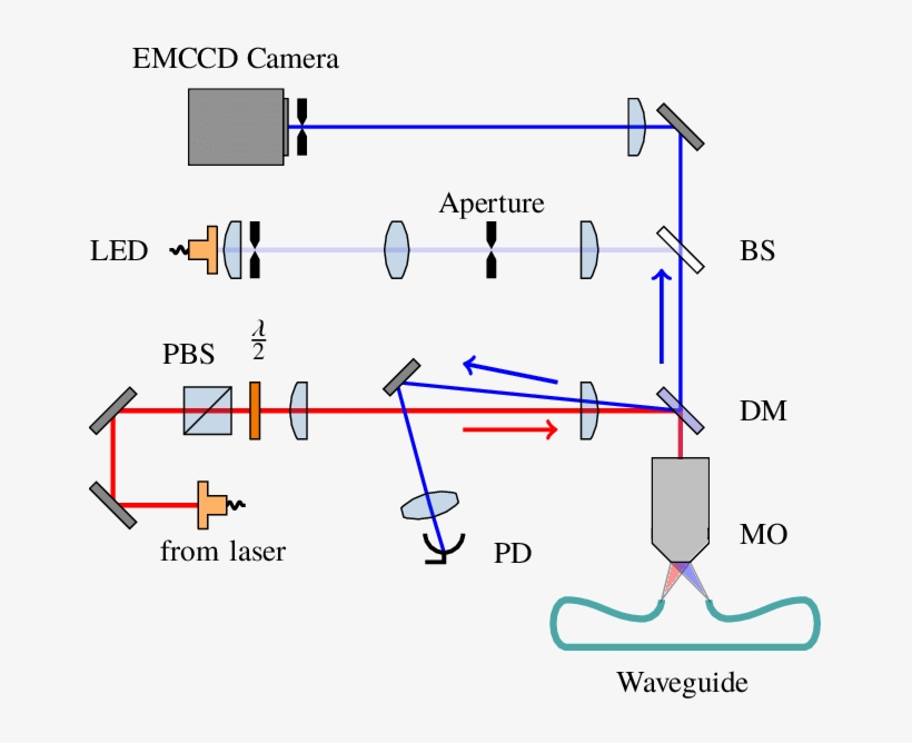 The Microscope Objective Focusses The Laser Beam (red - Objective PNG ...