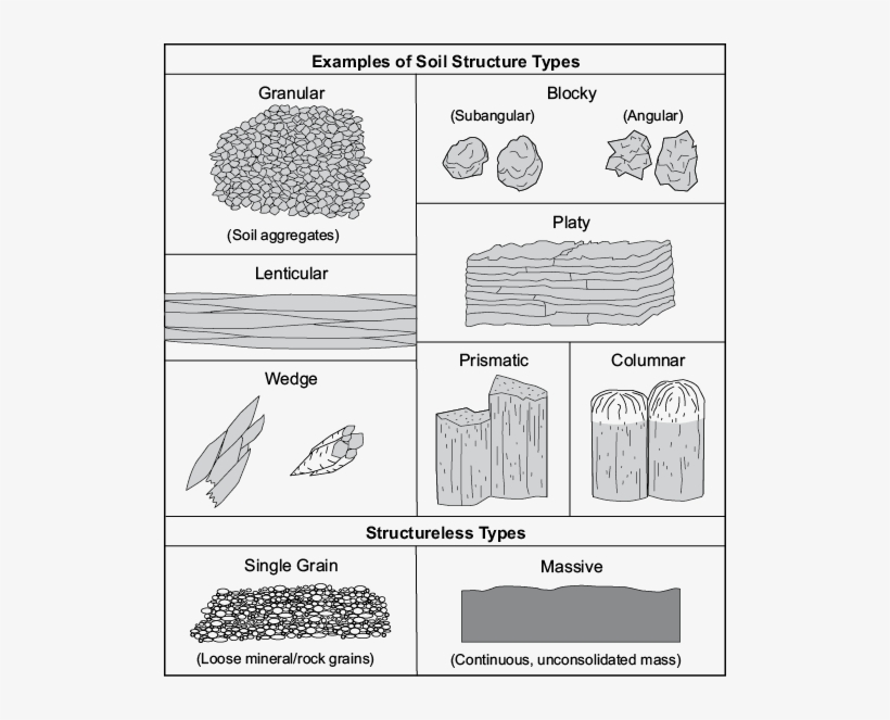 Download Examples Of Soil Structure Types - Soil Structure Types ...