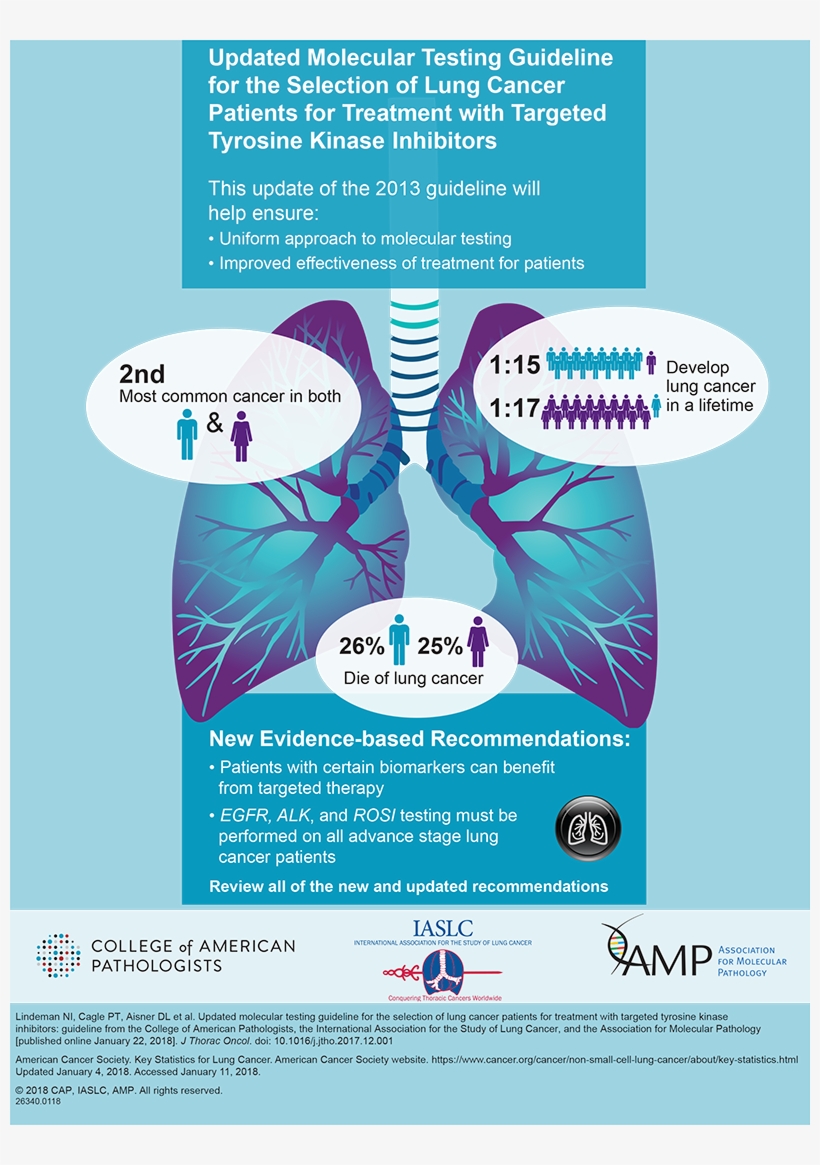 Lung Cancer Guideline Infographic - Guideline Lung Cancer 2018 PNG ...