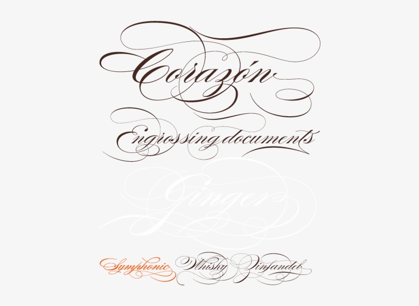 Burgues Script PNG Image | Transparent PNG Free Download on SeekPNG