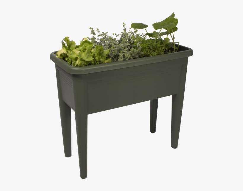 Home > Collection > Green Basics Grow Table Xxl - Elho Green Basic Seed ...