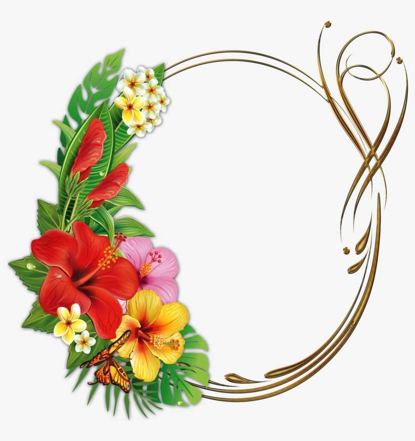 Tropical Borders And Frames