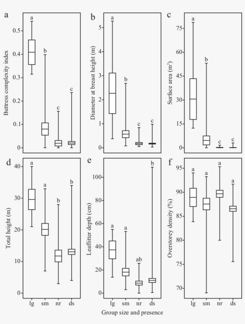 Comparison Of Trees Used By Heterophrynus Batesii Groups - Diagram PNG ...