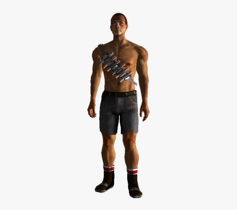 The Only Thing I Ask For, Either Mod Or Base Game, - Fallout New Vegas ...