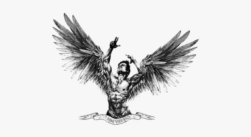 Download 205 Kb Png - Zyzz Design | Transparent PNG Download | SeekPNG