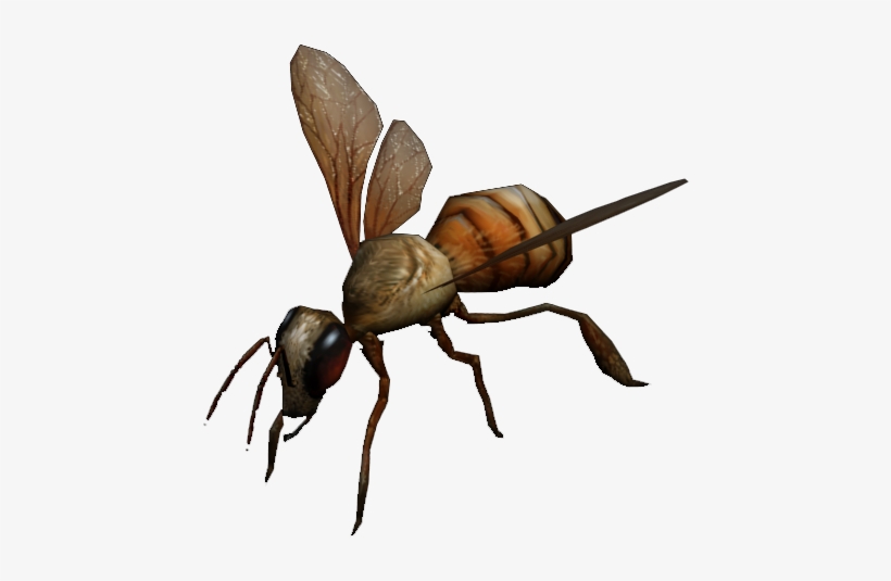 Bee - Fallout Wasps PNG Image | Transparent PNG Free Download on SeekPNG