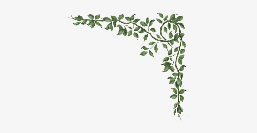 Free Borders For Scrapbooking - Décoration Coin De Page PNG Image ...