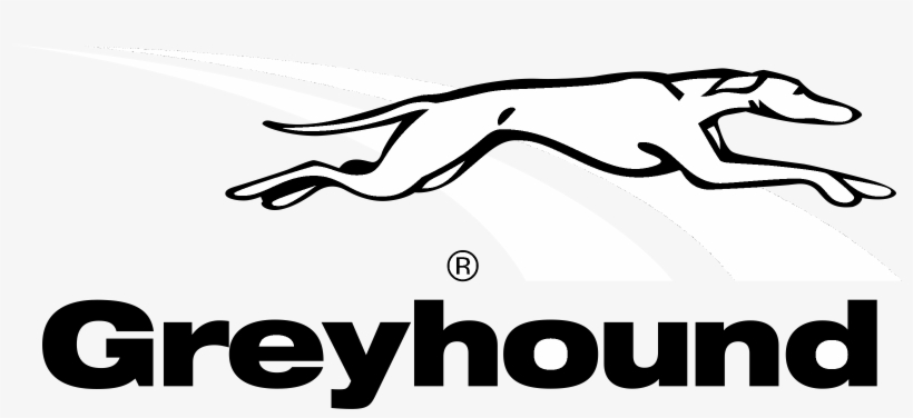 Greyhound Logo Black And White - Greyhound Canada PNG Image ...