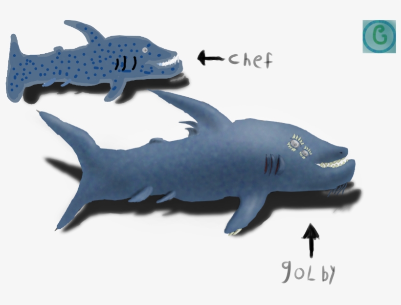 Dotted Greyhound Bullyshark Done Fauna New - Whale Shark PNG Image ...