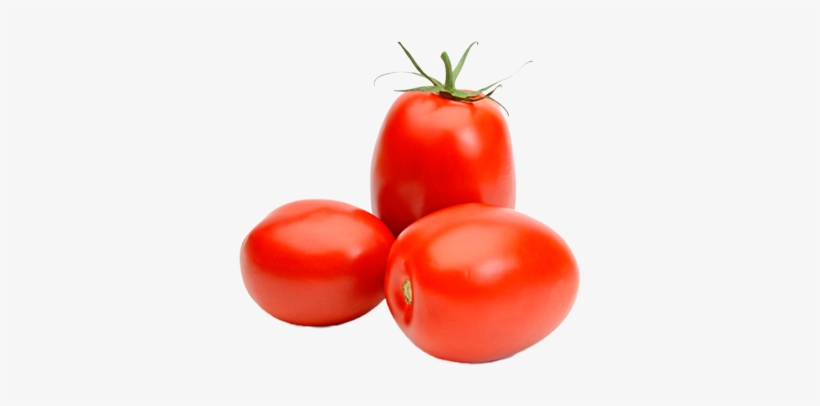 Roma Tomato - Roma Tomatoes PNG Image | Transparent PNG Free Download ...