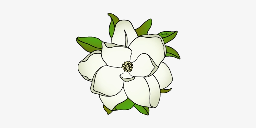 Mississippi Flower Drawing