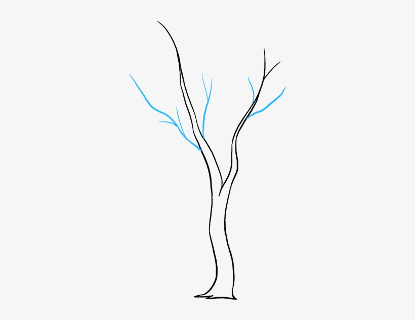 How To Draw Fall Tree - Fall Tree PNG Image | Transparent PNG Free ...