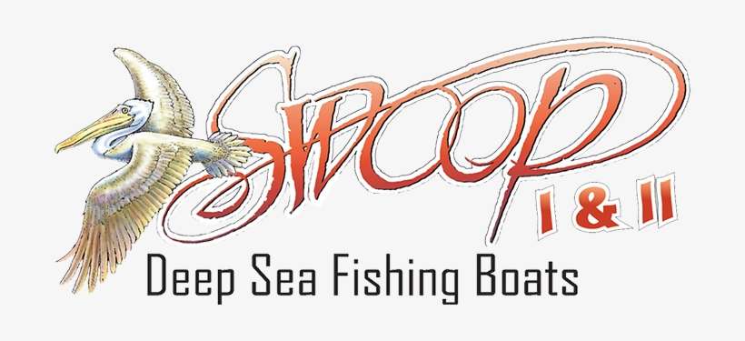 Download Swoop | Transparent PNG Download | SeekPNG