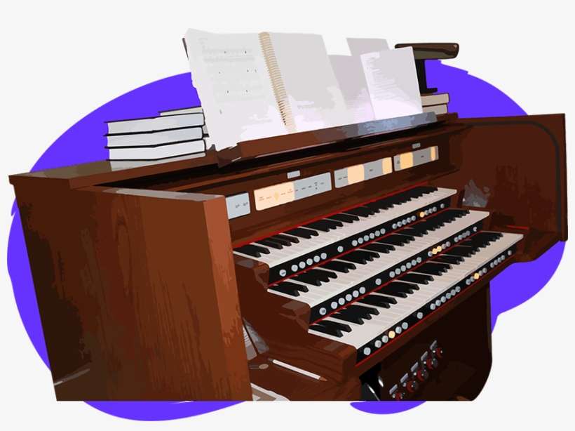 Organ PNG Image | Transparent PNG Free Download on SeekPNG