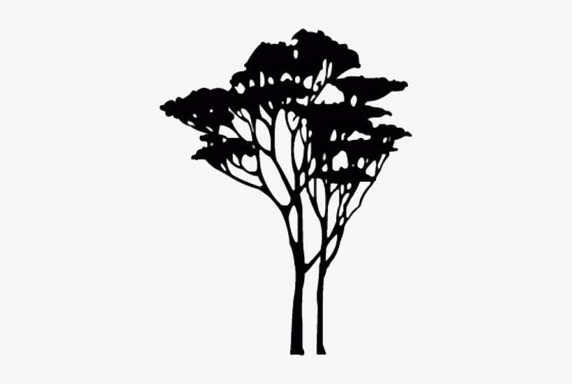 Mahogany Tree Black And White PNG Image | Transparent PNG Free Download ...