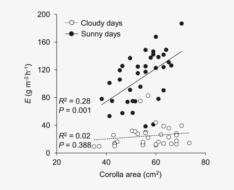 Interaction Between Type Of Day And Corolla Area In - Diagram PNG Image ...