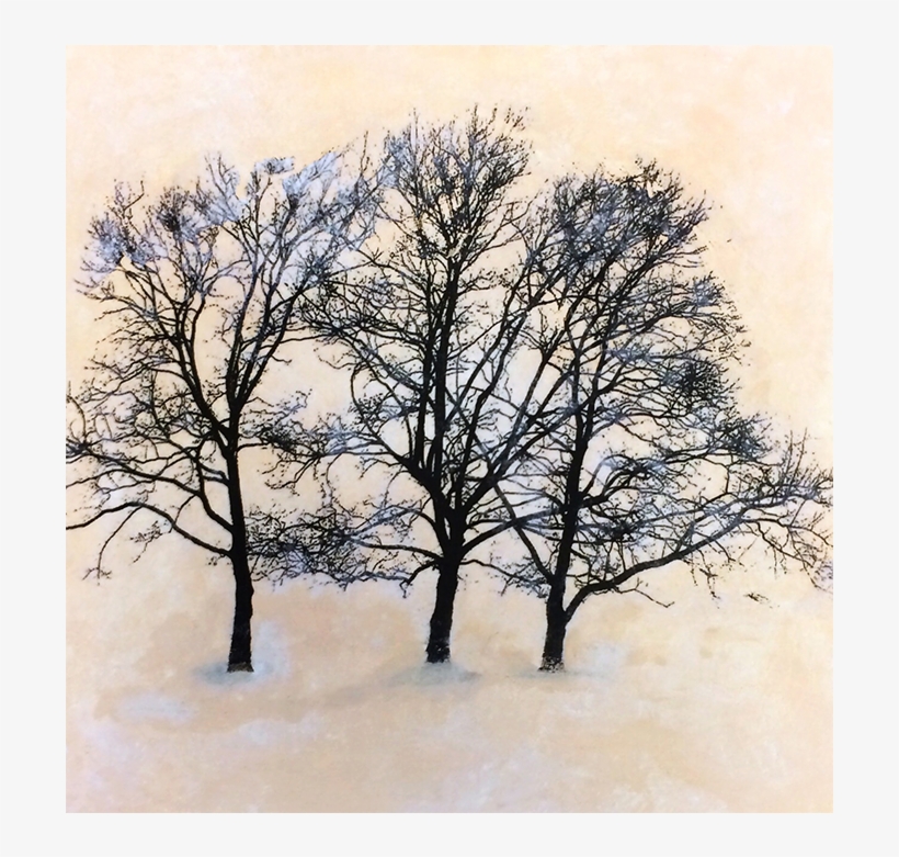 Three Trees - Tree PNG Image | Transparent PNG Free Download on SeekPNG