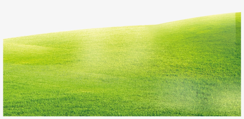 Prairie Grass Png PNG Image | Transparent PNG Free Download on SeekPNG