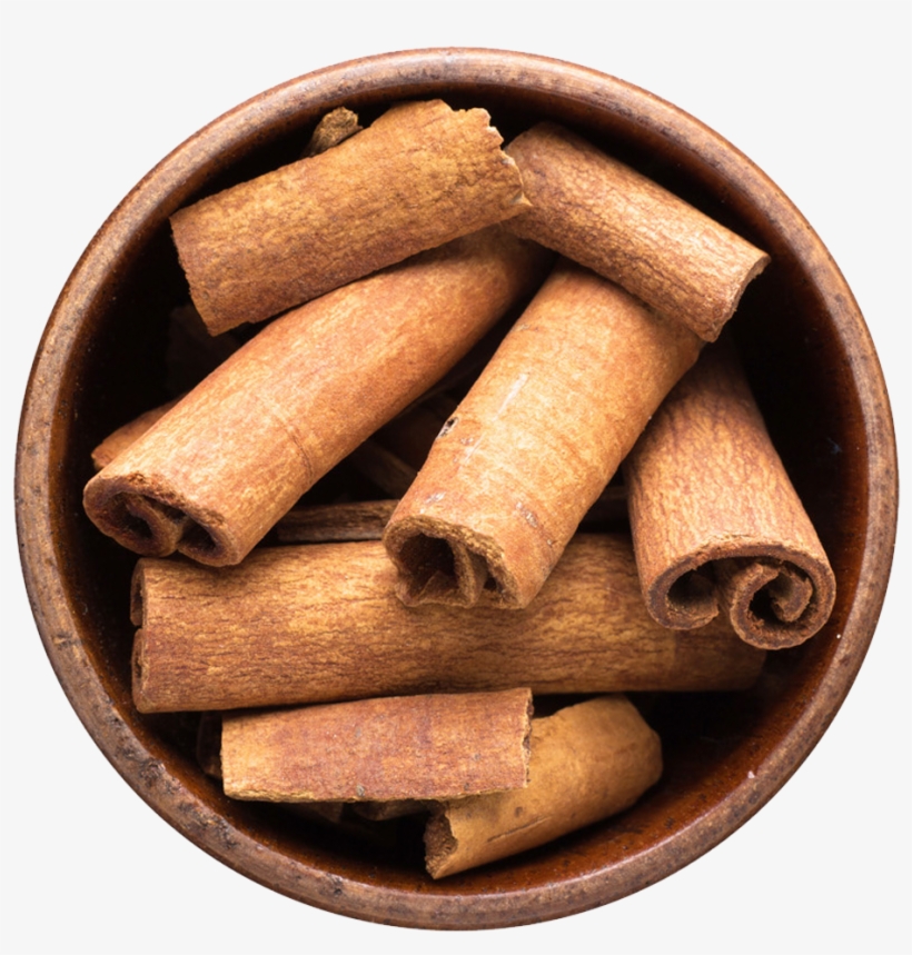 Cylinder PNG Image | Transparent PNG Free Download on SeekPNG