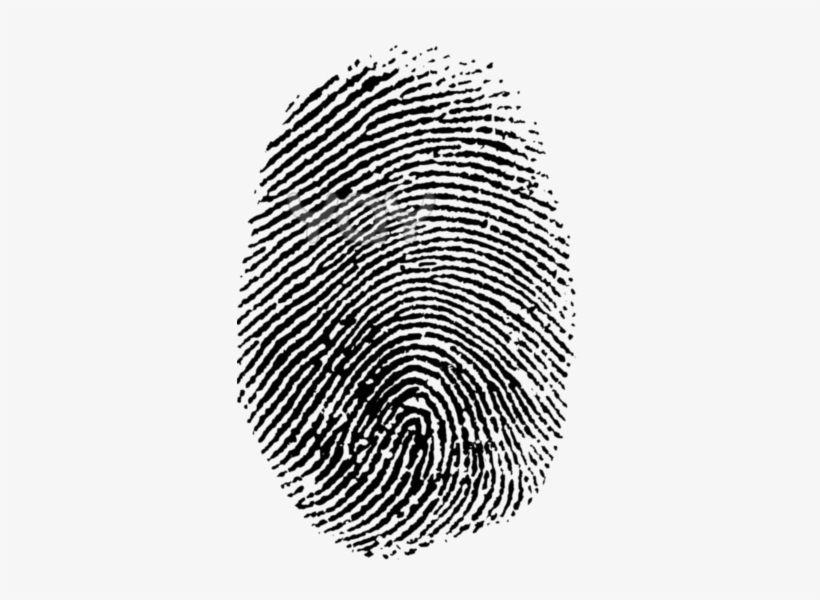 Line Drawing Transparent Background PNG Image | Transparent PNG Free ...