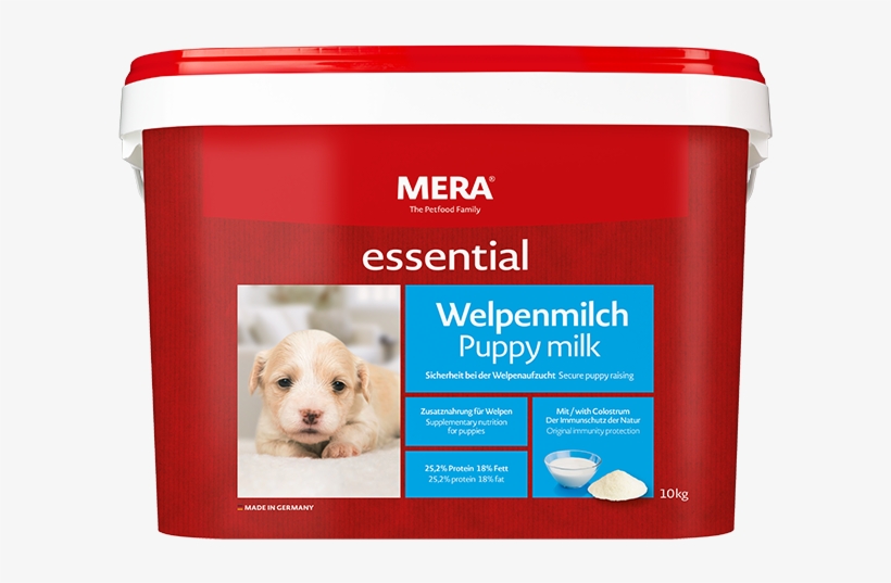 Mera Essential - Companion Dog PNG Image | Transparent PNG Free ...