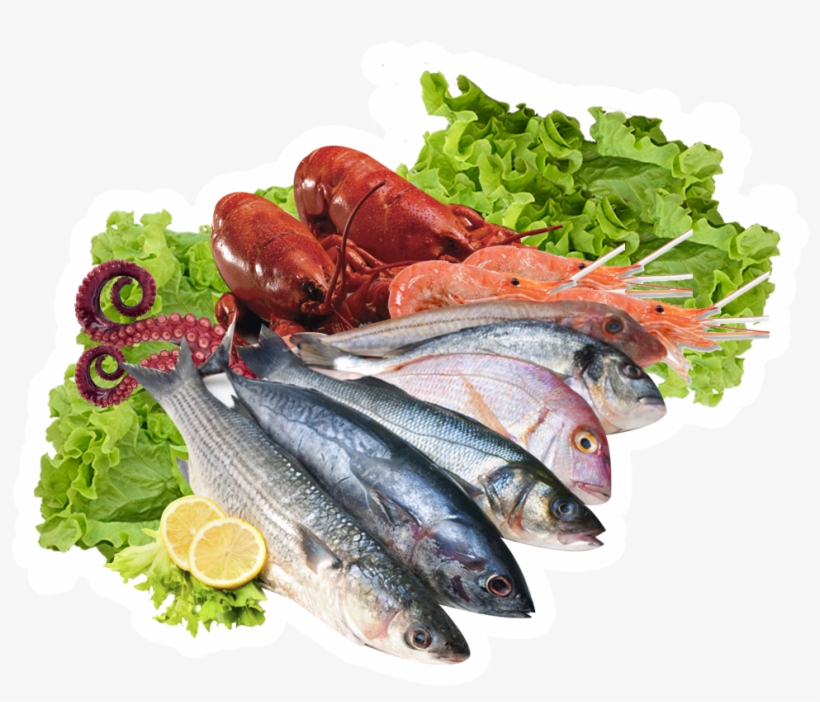 Pescados Y Mariscos Png - Venta De Mariscos Frescos PNG Image | Transparent PNG Free Download on ...