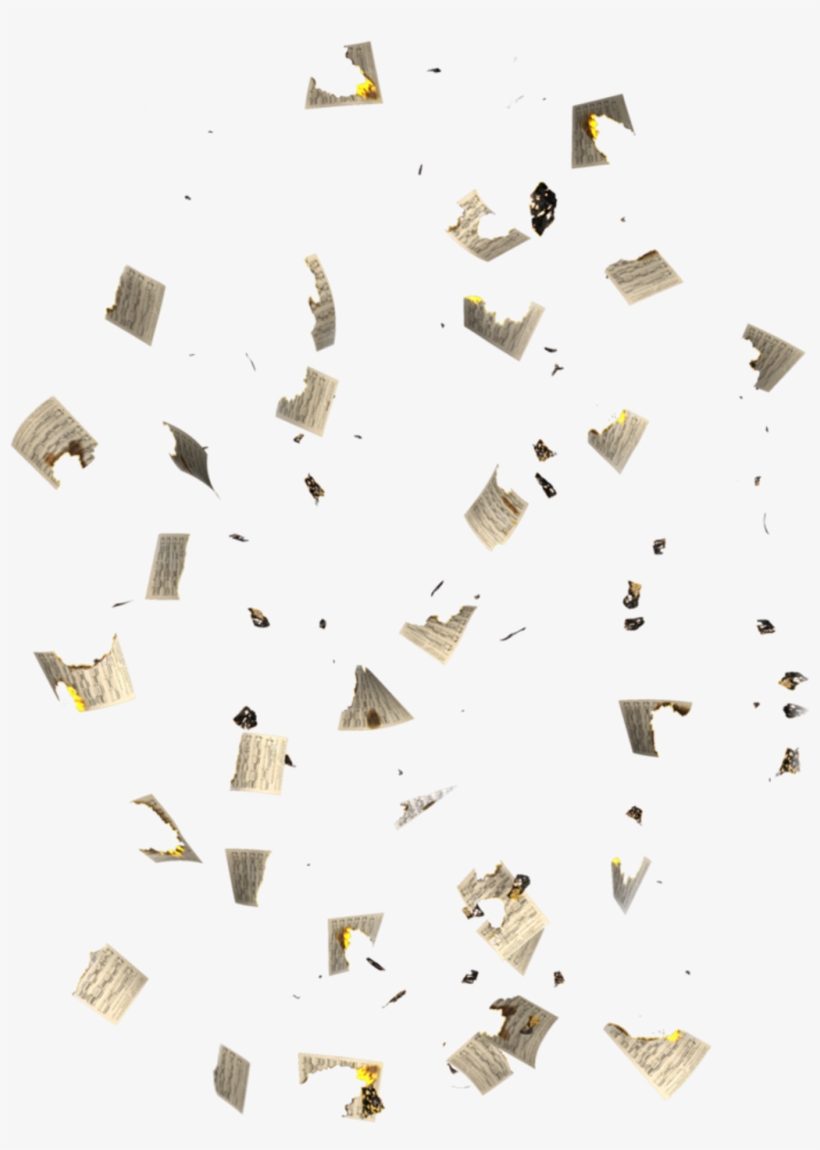 Hass Hasib All Stock PNG Image | Transparent PNG Free Download on SeekPNG