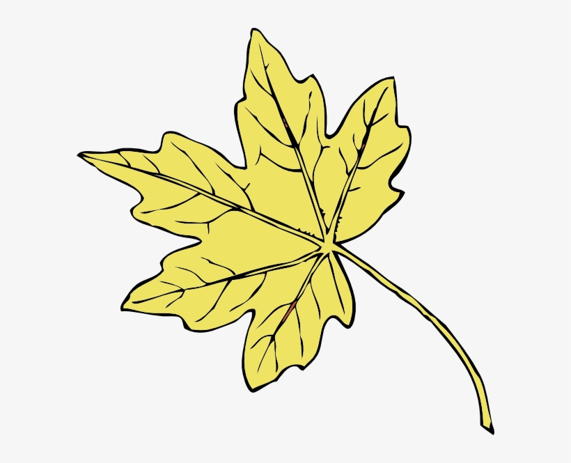 Gold Maple Leaf Clip Art - Gold Maple Leaf Transparent PNG Image ...