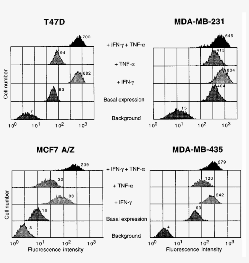 Expression Of Mhc Class I Proteins In Breast Cancer - Mhc Class 1 ...