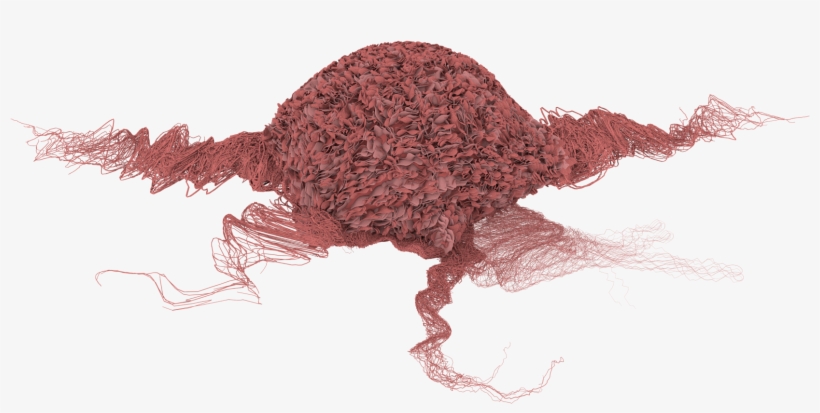 Cancer Cell Png PNG Image | Transparent PNG Free Download on SeekPNG